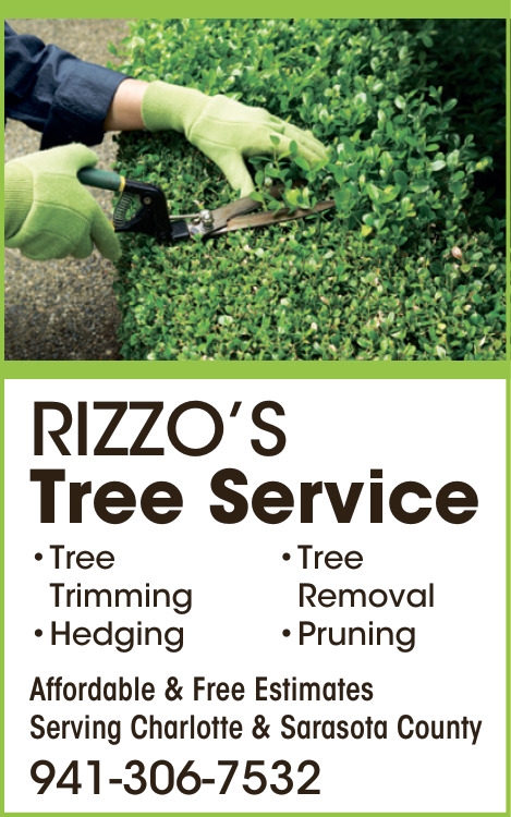 Affordable & Free Estimates, JRIZZ Tree Service